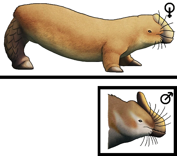 Dolpherret | SciiFii Wiki | Fandom