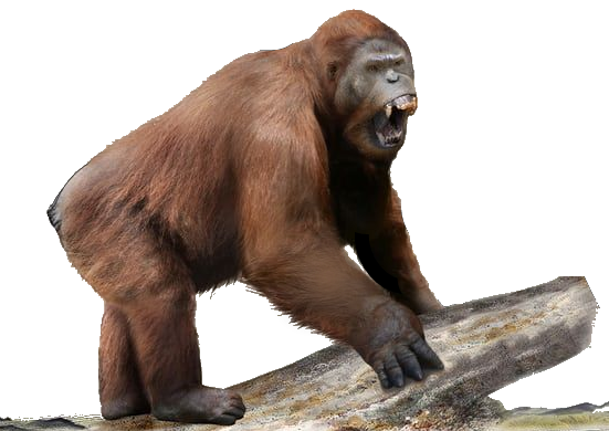 Gigantopithecus Sciifii Wiki Fandom