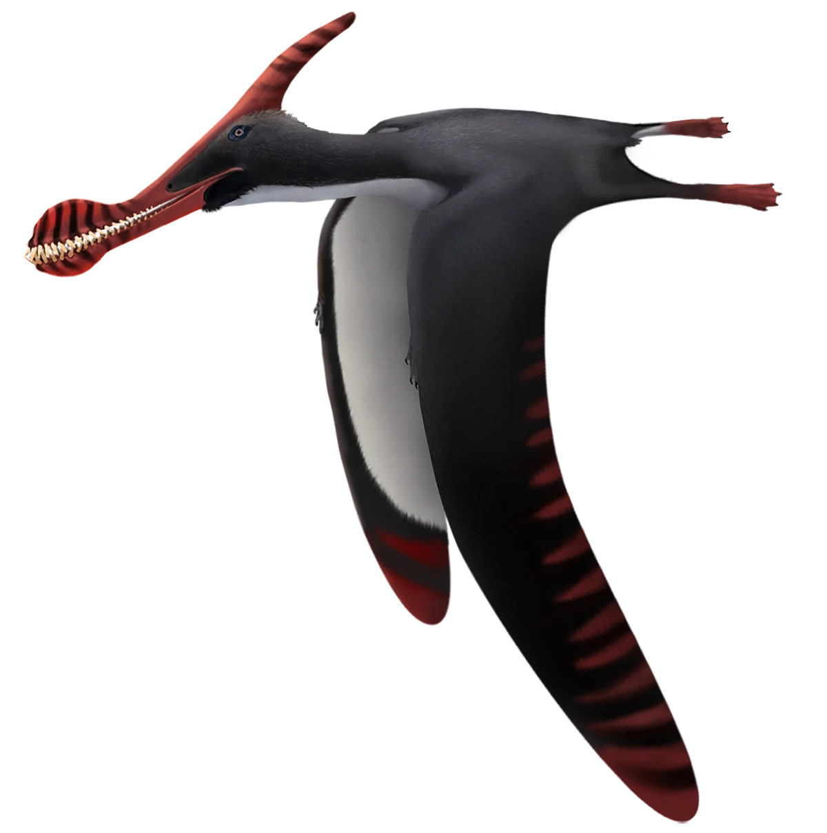 Caulkicephalus | SciiFii Wiki | Fandom