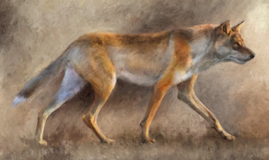 Xenocyon | SciiFii Wiki | Fandom