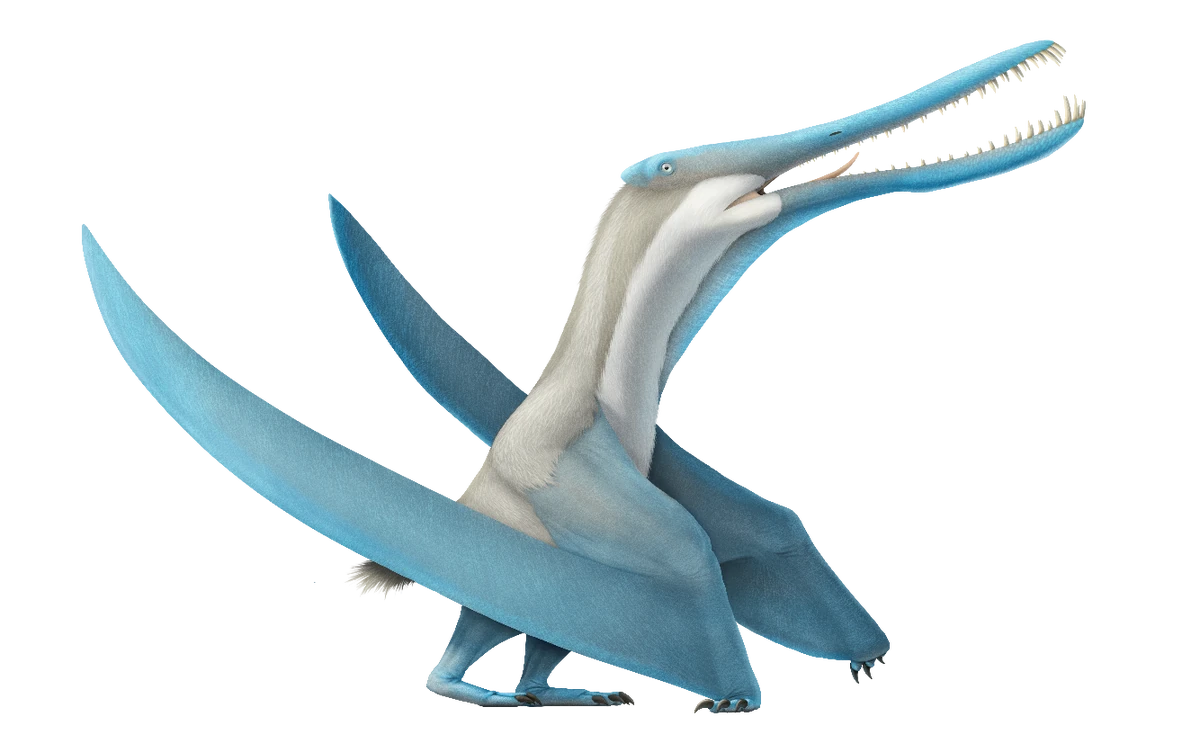 Barbosania | SciiFii Wiki | Fandom