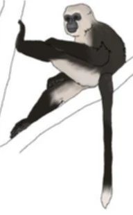 Kanagawapithecus | SciiFii Wiki | Fandom