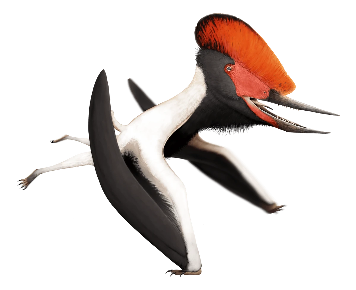 Lonchognathosaurus | SciiFii Wiki | Fandom