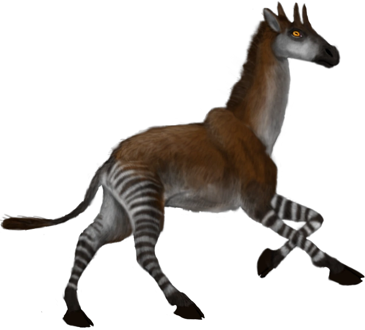 Palaeotragus | SciiFii Wiki | Fandom