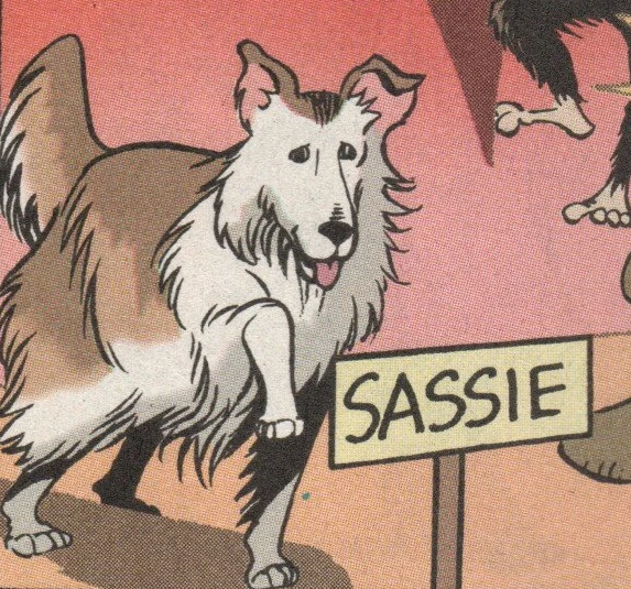 Sassie | Scoobypedia | Fandom