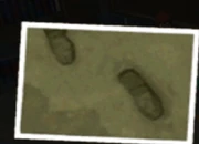 The Haunting of Hambridge | Scoobypedia | Fandom