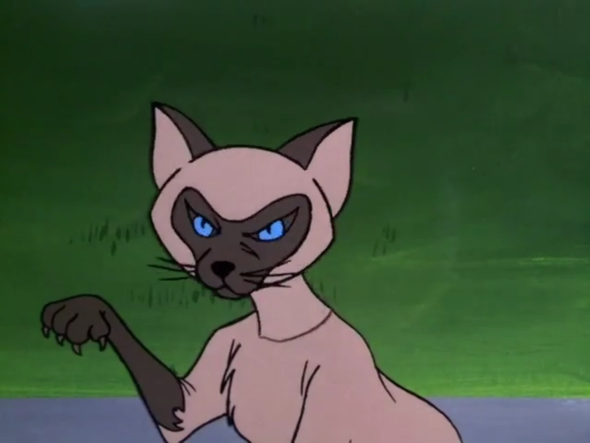 Cat man's Siamese cat | Scoobypedia | Fandom