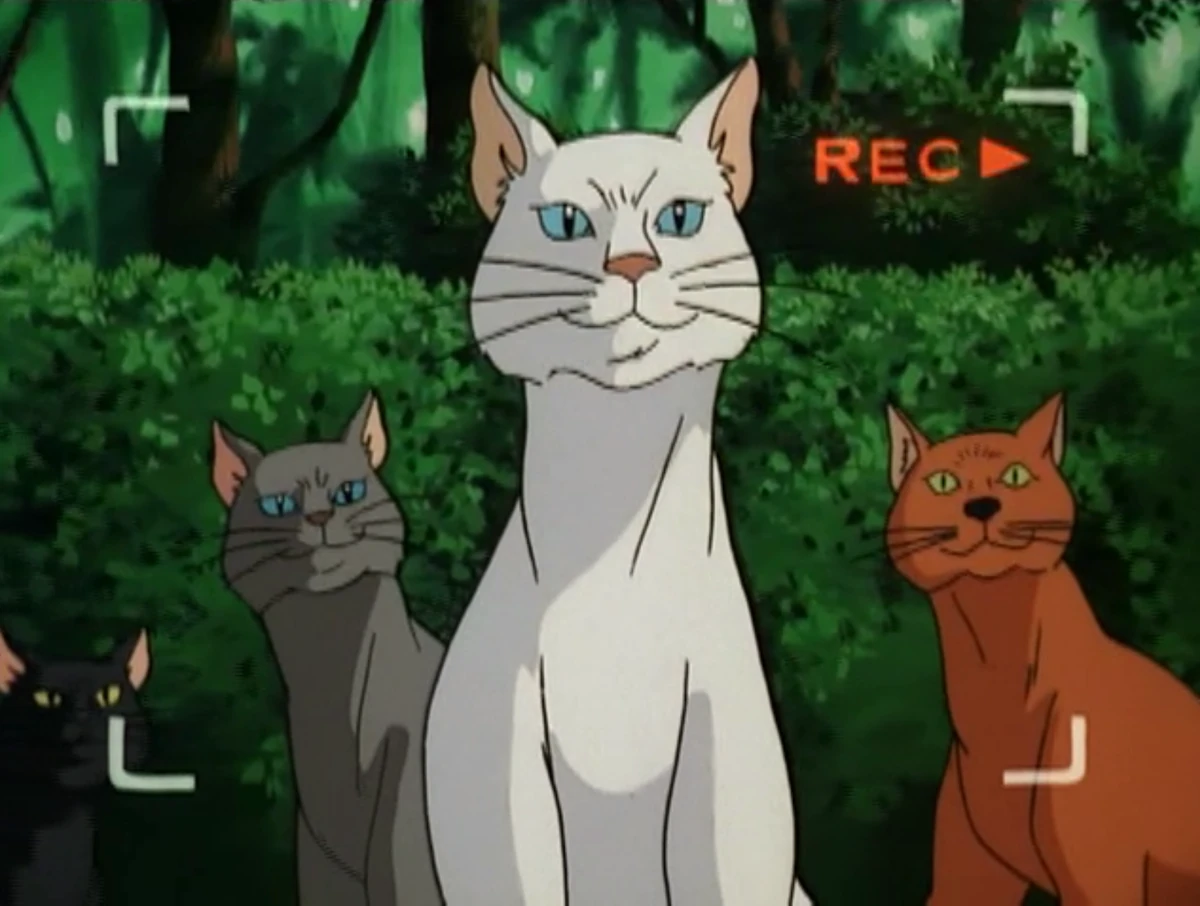 Category:Cats | Scoobypedia | Fandom