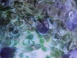 Protoplasm (Raja Gosnell films) | Scoobypedia | Fandom