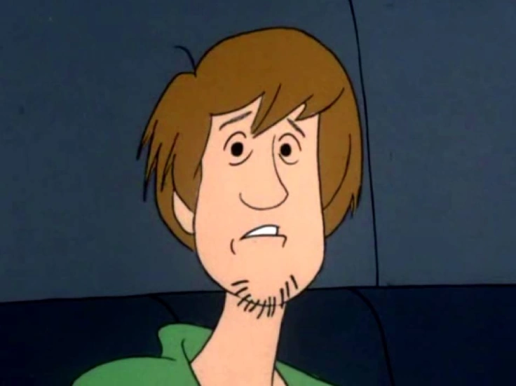 Shaggy Rogers | Scooby Doo Wiki | Fandom