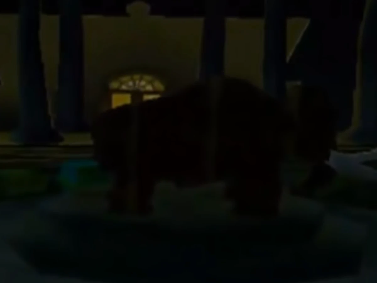 Museum (Scooby-Doo! Unmasked) | Scoobypedia | Fandom