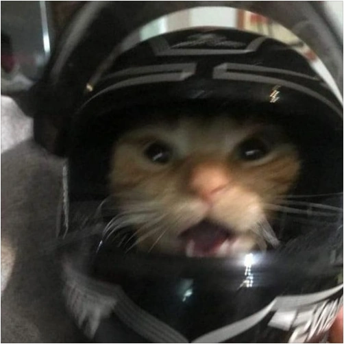 Engineer | Scorched Earth (Roblox) Wiki | Fandom