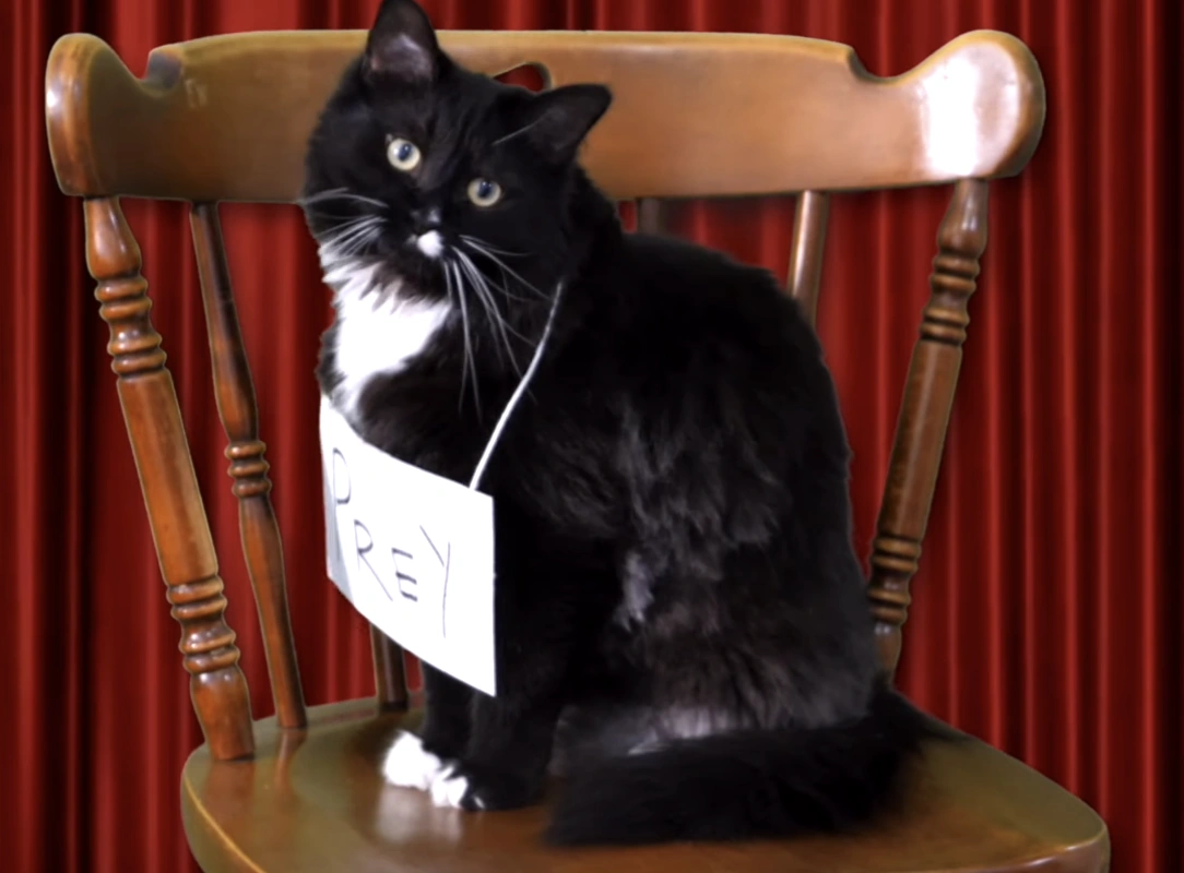 Prey | Scott The Woz Wiki | Fandom