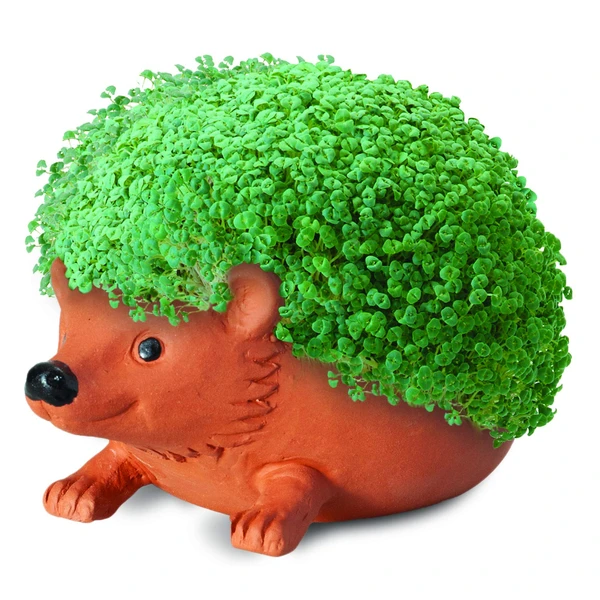 Hedgehog Chia Pet | Scott The Woz Wiki | Fandom