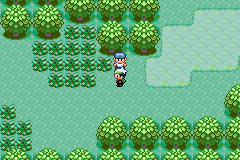 Youngster Calvin | Scott's Thoughts Wiki | Fandom