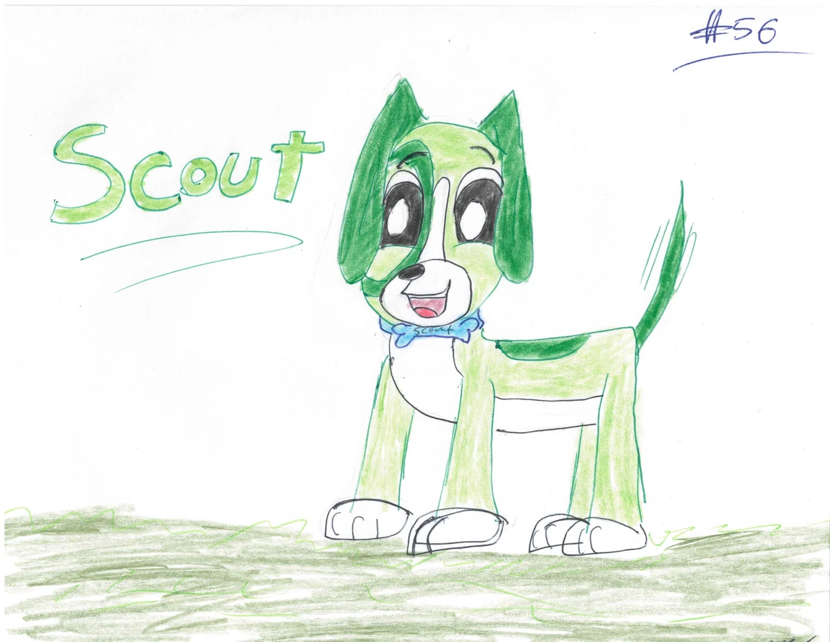 The Scout Library/56 | Scout and friends Fan Wikia | Fandom
