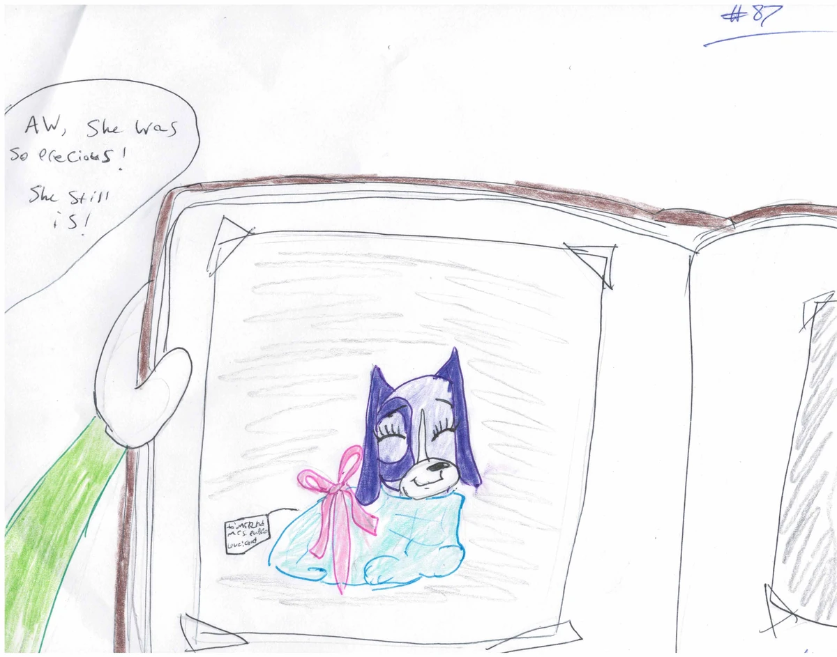 The Scout library/87 | Scout and friends Fan Wikia | Fandom