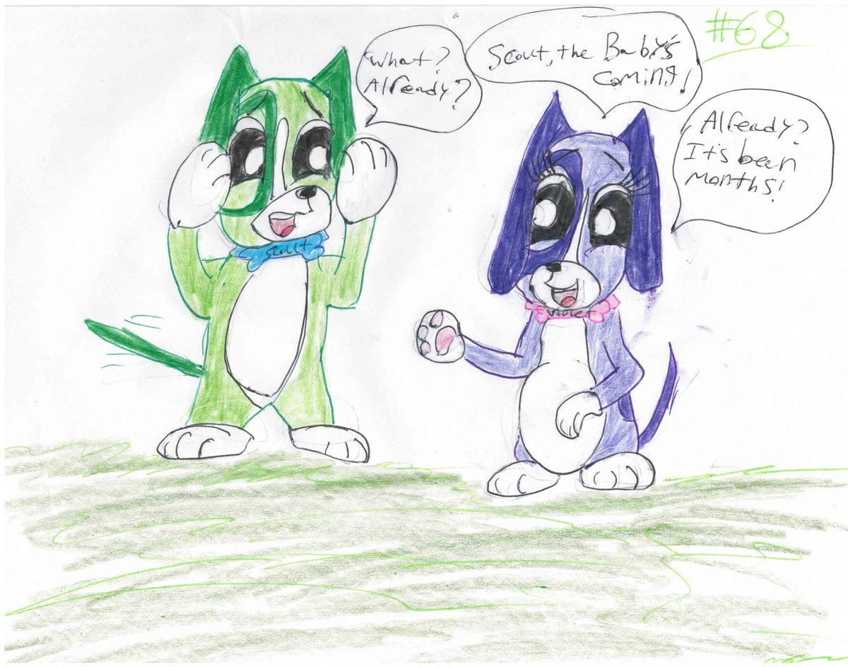 The Scout Library/68 | Scout and friends Fan Wikia | Fandom