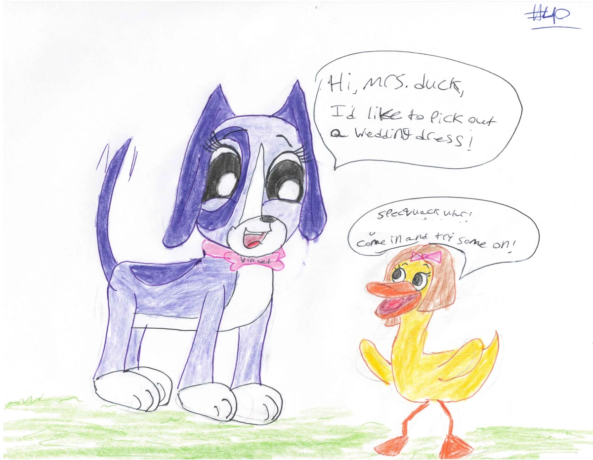 The Scout Library/40 | Scout and friends Fan Wikia | Fandom