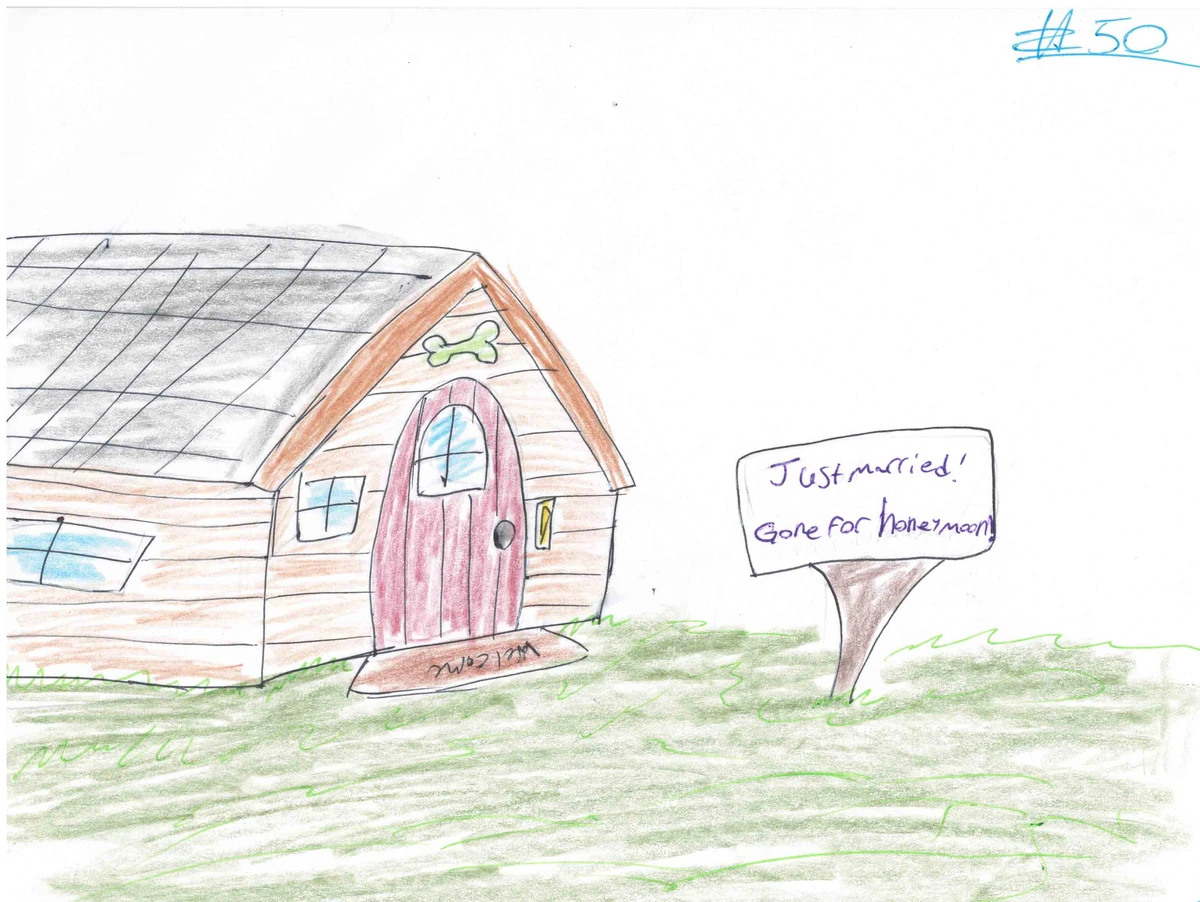 The Scout Library/50 | Scout and friends Fan Wikia | Fandom