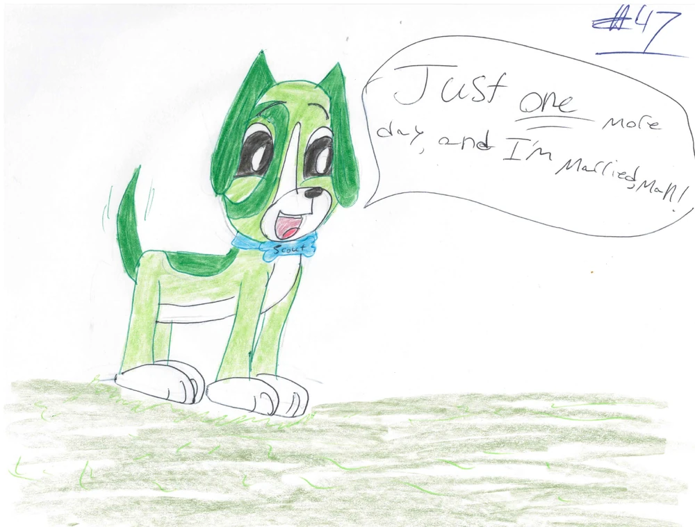 The Scout Library/47 | Scout and friends Fan Wikia | Fandom