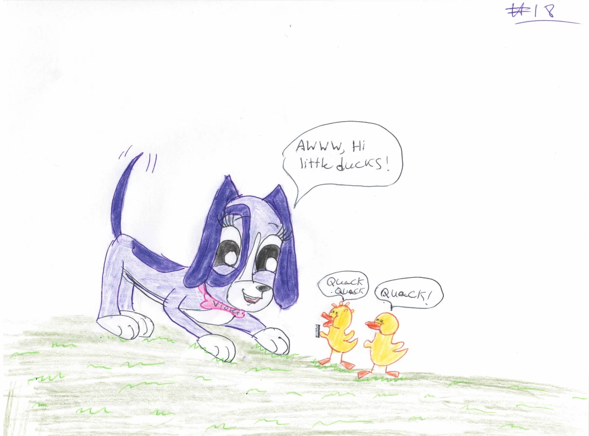 The Scout Library/18 | Scout and friends Fan Wikia | Fandom