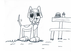 scout and violet coloring pages