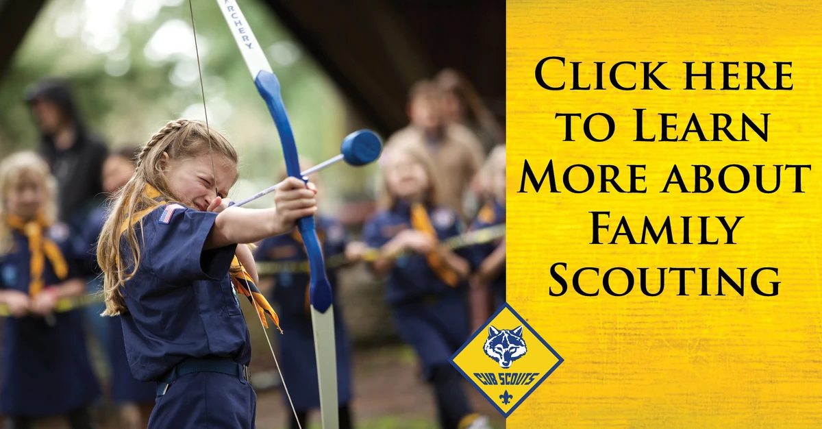 Cub Scouts | ScoutHut Wiki | Fandom