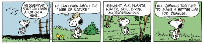 Scouting in the Comics | ScoutHut Wiki | Fandom