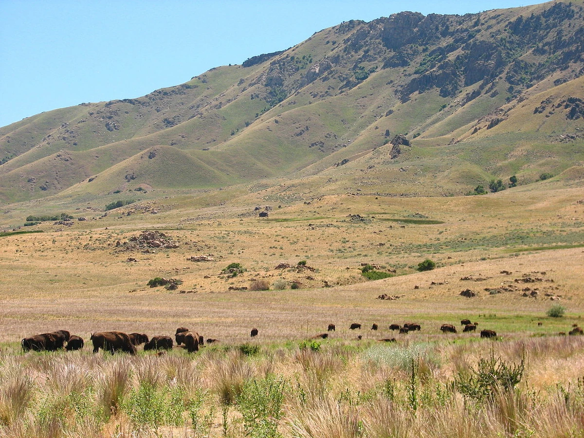 List of Utah State Parks | ScoutHut Wiki | Fandom