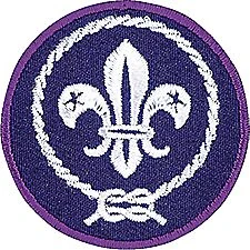 World Scouting Mission | Scouting | Fandom