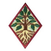 Trees (Cadette badge) | Scouts Honor Wiki | Fandom