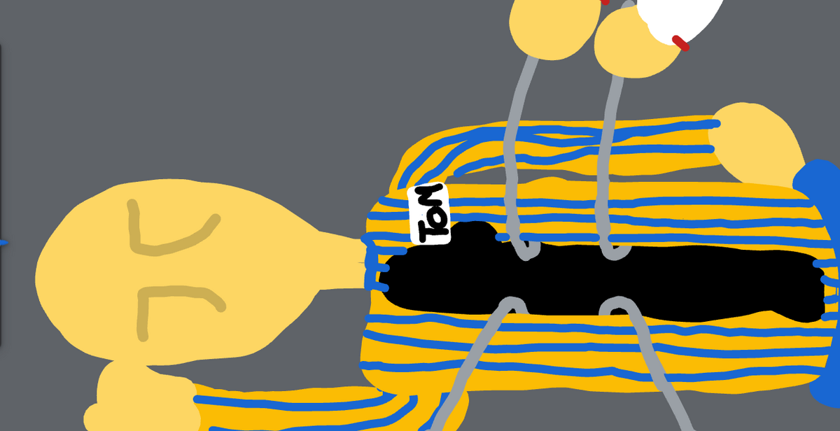 Autopsy Log 3008-2 | SCP3008 Wiki | Fandom