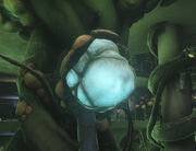 SCP-1262 | SCP: 5K Wiki | Fandom