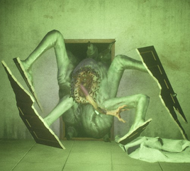 SCP-7566 | SCP: 5K Wiki | Fandom