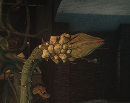 SCP-1262 | SCP: 5K Wiki | Fandom