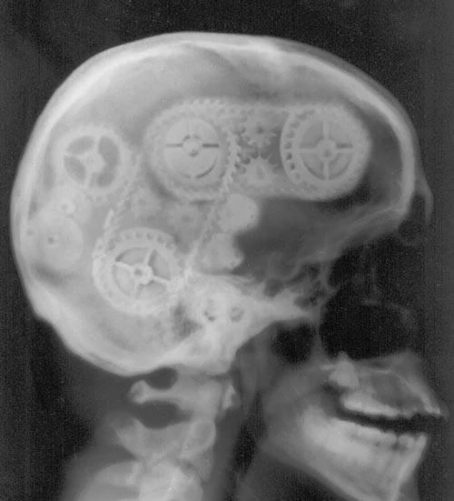 SCP-172 | SCP Database Wiki | Fandom