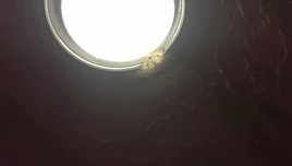 SCP-2598 | SCP Database Wiki | Fandom