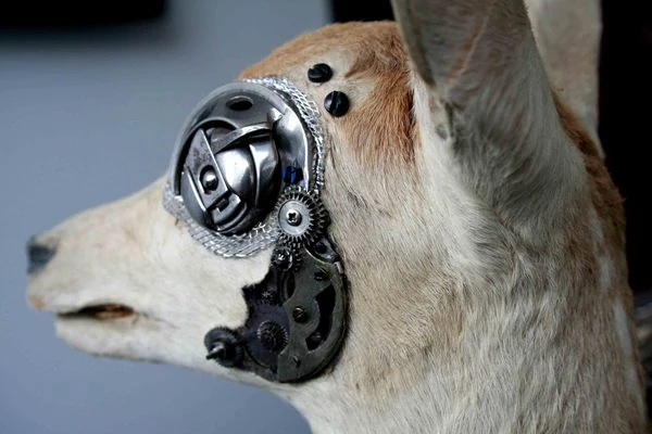 SCP-217 | SCP Database Wiki | Fandom