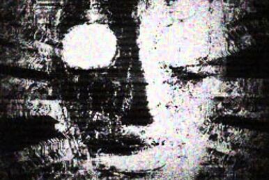Scp 053 Real Face
