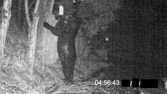 SCP-932 | SCP Database Wiki | Fandom