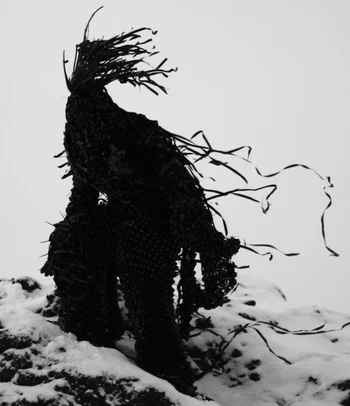 SCP-2521 | SCP Database Wiki | Fandom