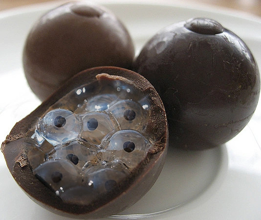 Easter Frog's Eggs | SCP Database Wiki | Fandom