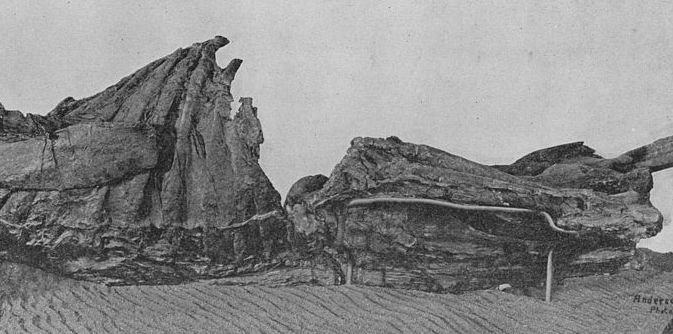 SCP-2095 | SCP Database Wiki | Fandom