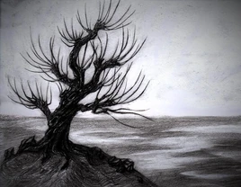 SCP-3515 | SCP Database Wiki | Fandom