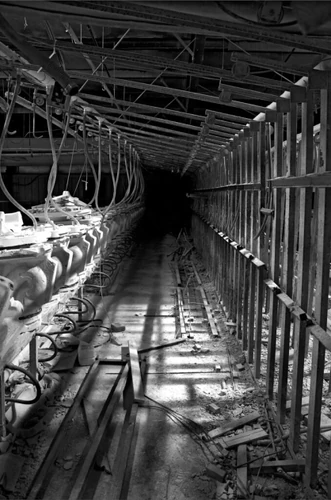 SCP-748 | SCP Database Wiki | Fandom