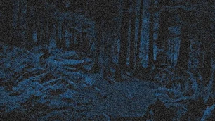 Carnivorous Chickens | SCP Fanon Wiki | Fandom