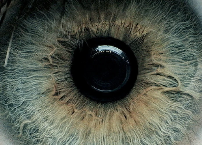 SCP-9015-RU | SCP Fanon Wiki | Fandom