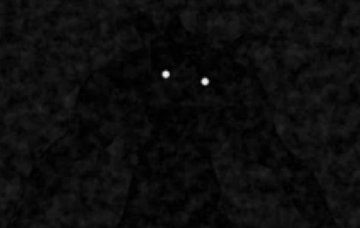 SCP-1827 | SCP Fanon Wiki | Fandom