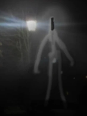 SCP-88835 | SCP Fanon Wiki | Fandom